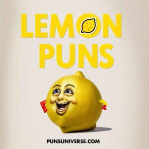 215+ Lunar Puns to Make You Over the Moon - Punsuniverse