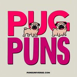 140+ Pug Puns Pawsitively Packed with Smiles - Punsuniverse