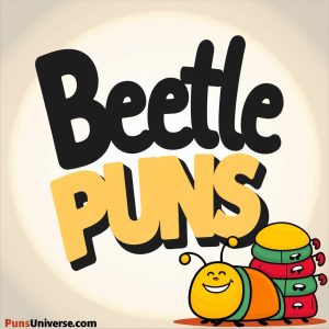 210+ Beetle Puns to Bug Your Friends with Laughter - Punsuniverse